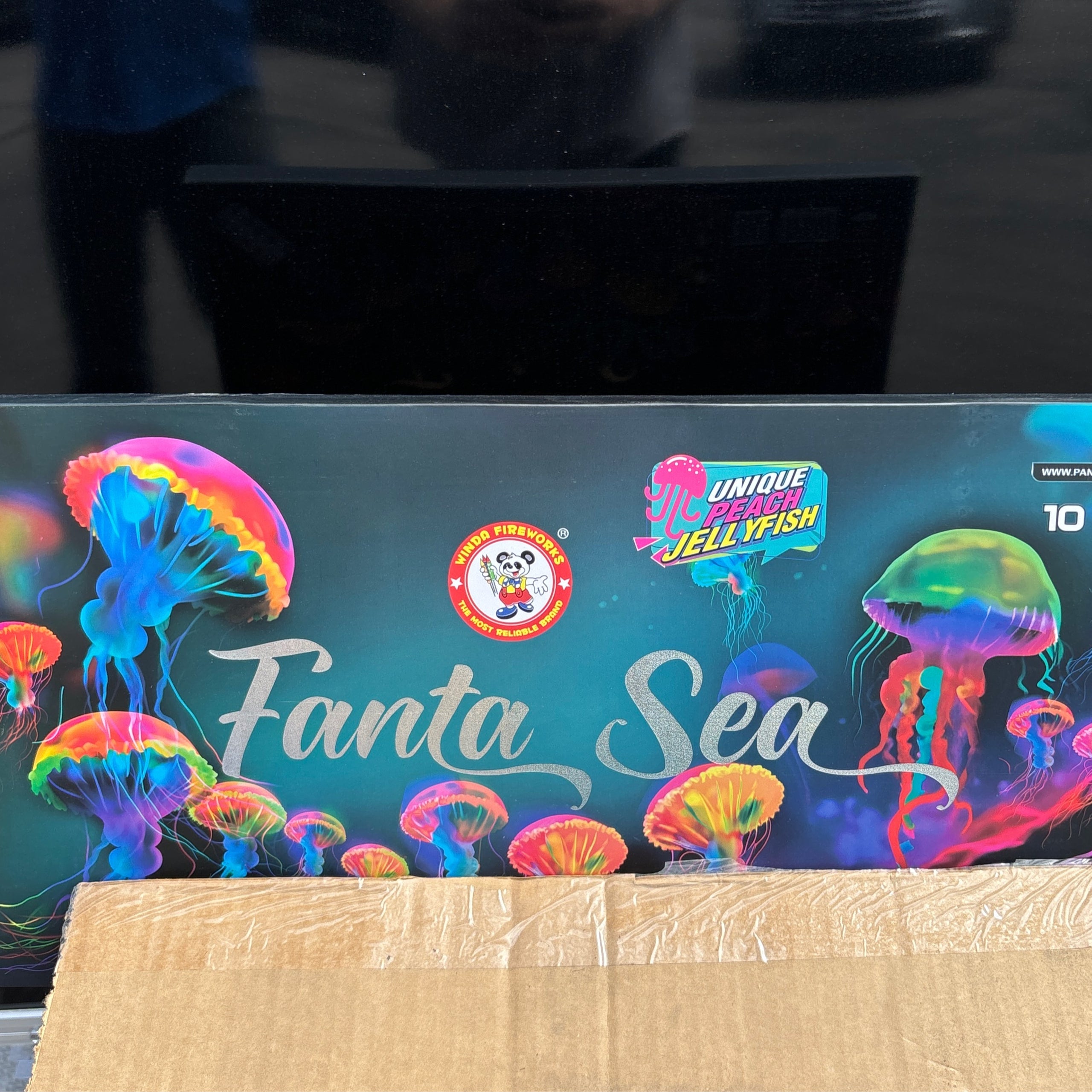 FANTA SEA | Neon Boom Fireworks Free Pick Up in Idaho Falls!
